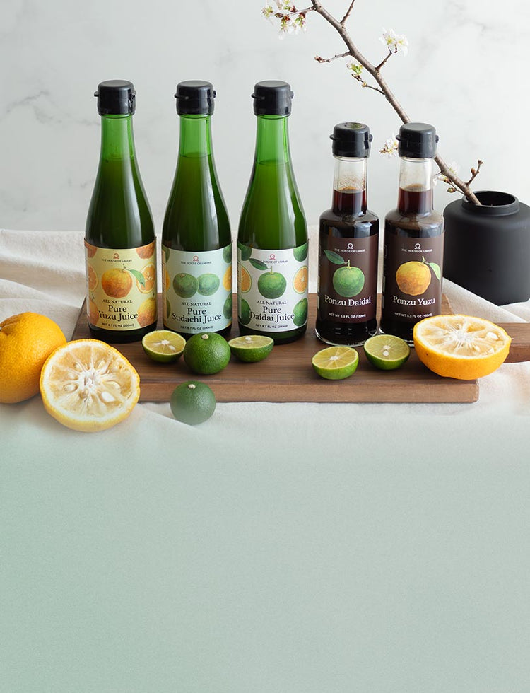 Japanese Umami Ingredients and Gourmet Seasonings – The House of Umami